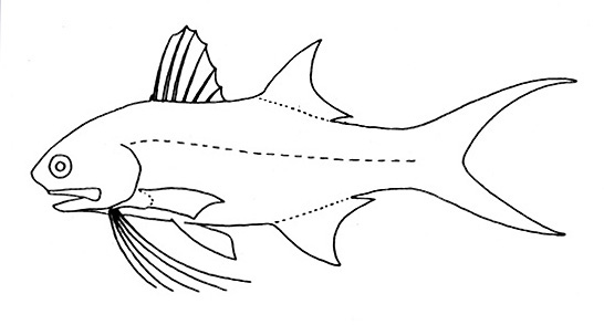 Online Identification Keys - Key to near shore fish families of Hawaii